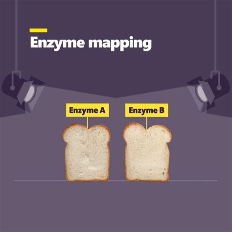 David Amos On Linkedin This Is Truly Fascinating Work Bringing Huge