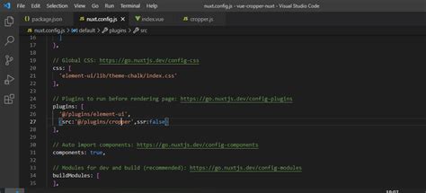nuxt开发环境启动正常，正式环境无法使用 · issue 632 · xyxiao001 vue cropper · github
