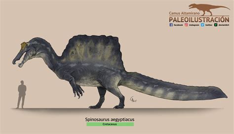 Spinosaurus Aegyptiacus By Camusaltamirano On Deviantart