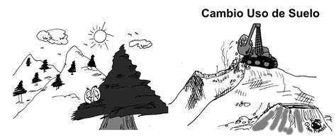 Cambio Uso Suelo Ilustraciones