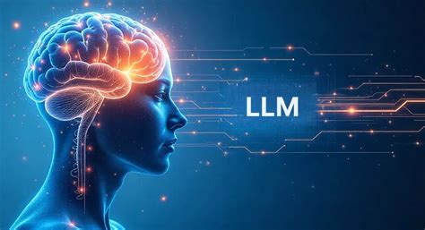 The Human Side Of Llm Model Sizes