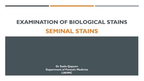 Forensic Detection Of Seminal Stainspptx