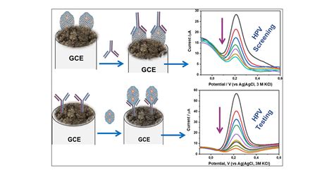 Electrochemical Immunosensor For Ultra Low Detection Of Human Papillomavirus Biomarker For