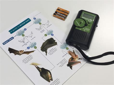 Bat Detector Starter Kit