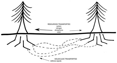micromachines free full text architecture optimization of a non
