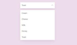 Stylish CSS Select Elements To Use In Your Forms