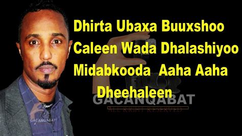 Heestii Dheeliga Abduqadir Juba Lyrics Youtube Music