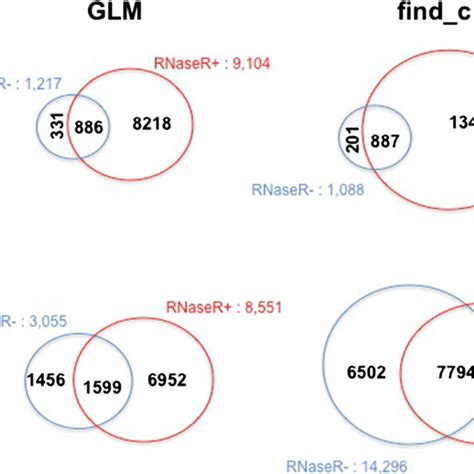 Statistical Algorithm Improves The Sensitivity Of Circular Rna Download Scientific Diagram