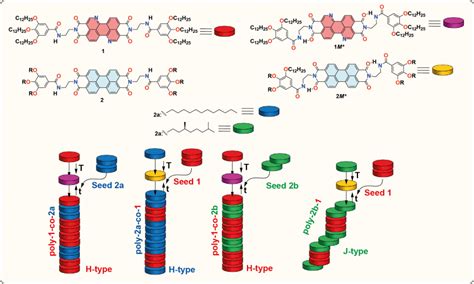 Grupo De Investigación Supramolecular Polymers