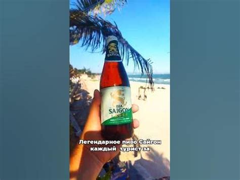 Вьетнамское пиво САЙГОН и день борьбы с "пивными животами" #вьетнам # ...