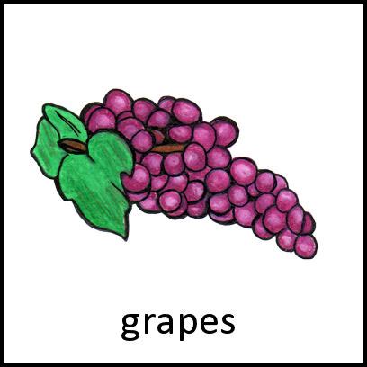 Fruit Pecs Cards Listing