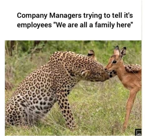 Monday Memes Coder Memes Humor Jokes