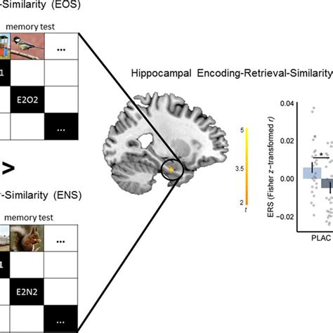 Multivariate Encoding Retrieval Similarity Ers Analysis Participants