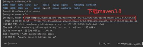 linux安装git和maven——拉取代码 ＞ mvn打包成jar包 ＞运行jar包 linux服务器mvn打包 csdn博客