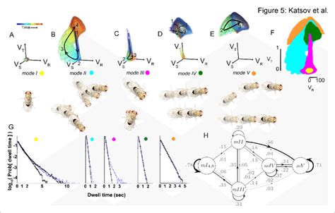 Identified Movement Patterns As Distributions In Velocity Phase Space