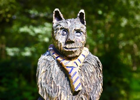 Risley Moss Warrington [18 08 2019]