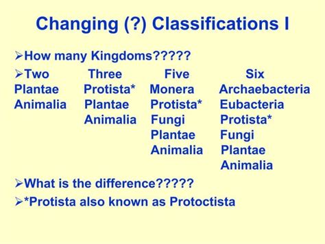 230 Classification Systematics Animal Phylogenyppt