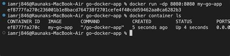 docker setting go