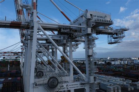 Frames Of White Gantry Cranes Staying In A Row In Container Terminal In