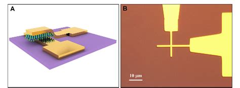 Figure 1 From Rese2 Based Rram And Circuit Level Model For Neuromorphic Computing Semantic Scholar