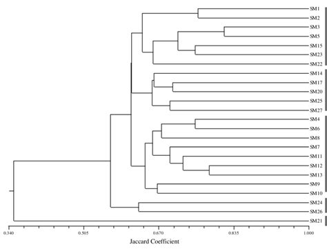 Upgma Cluster Analysis Of Damd Similarities Among Adult Trees Of S Download Scientific