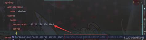 Alibaba Nacos Api Exception NacosException Failed To Req API Nacos V Ns Instance List