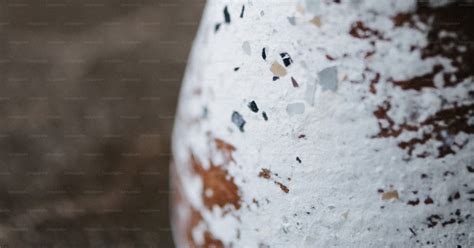 검은 반점이있는 흰 꽃 사진 Unsplash의 스튜디오에서 이미지