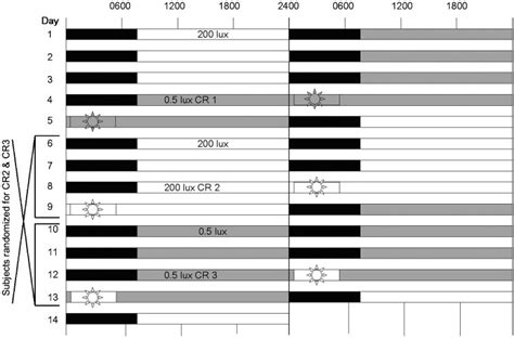 The Protocol Is Presented As A Standard Double Raster Plot With Download Scientific Diagram