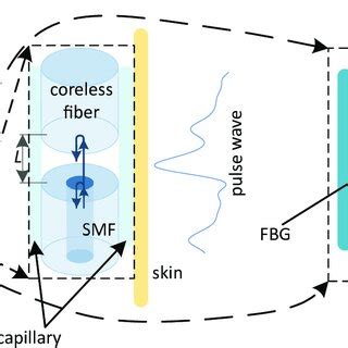 Schematic Illustration Of Sensing Setups For SMS Pulse Wave Sensor Download Scientific Diagram