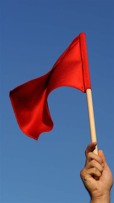 The One Red Flag That I Missed You Are Seen