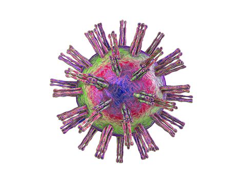 Genital Herpes Causes Hsv 1 And Hsv 2 58 Off