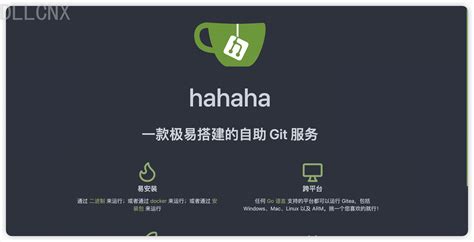 06 搭建一个自己的私有仓库 gitea 搭建私人代码仓库 csdn博客