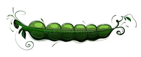 Pea Seeds Pod Stock Illustrations 421 Pea Seeds Pod Stock