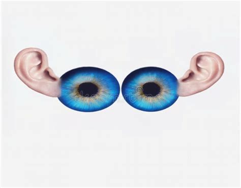 Eyes And Ears Wide Open At Sean Chaffey Blog