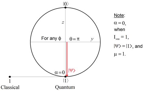 Relationship between classical 1 µ and IMSB Download Scientific Diagram