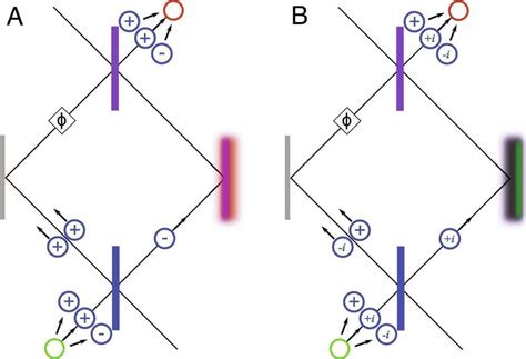 Quantum Reality With Negative Mass Particles Lifeboat News The Blog