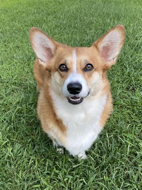 A Beautiful Alignment Routerwilds