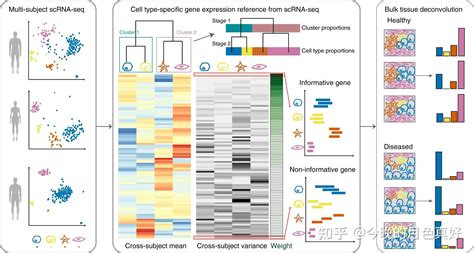 单细胞文章打卡82 去卷积方法music 知乎 单细胞文章打卡82 去卷积方法music 知乎