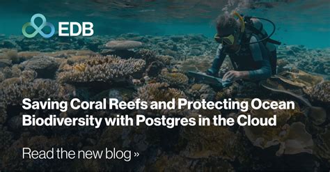Prasad Chaudhari On Linkedin Postgres Postgresql