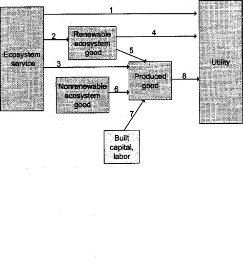 Figure 2 From Defining Valuing And Providing Ecosystem Goods And Services Semantic Scholar