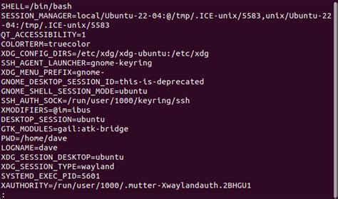How To List Environment Variables On Linux