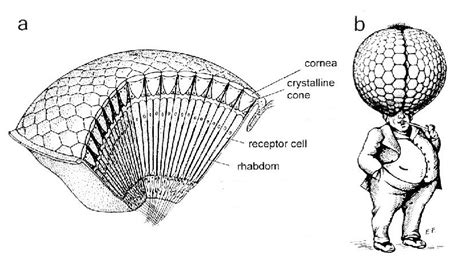 Fig Mapping Ignorance