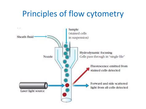 Flowcytometery Pptx