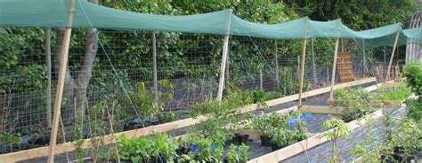 22 Garden Shade Cloth Structures Ideas You Cannot Miss Sharonsable