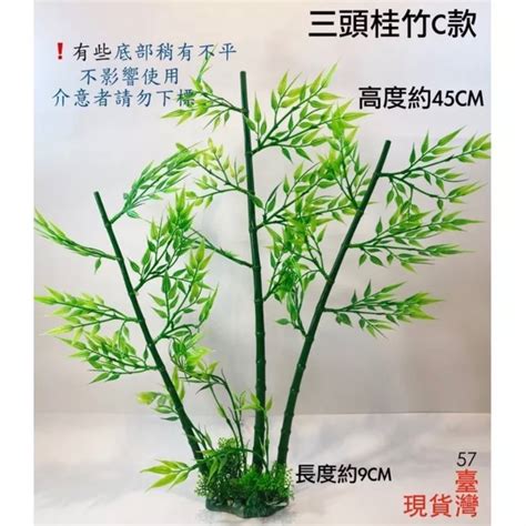 三頭桂竹 仿真竹葉 竹子 假竹 菜盤擺飾 日式料理 刺身冷盤 擺盤 桌上裝飾 盆景 竹林 竹葉 水族箱擺飾 假樹 人造樹 57餐具與擺飾