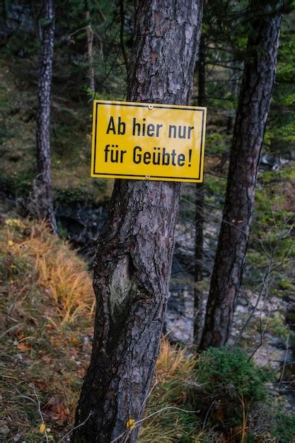 Premium Photo Information Sign On Tree Trunk In Forest