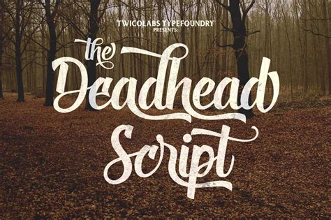 100 Beautiful Script Brush And Calligraphy Fonts Design Shack