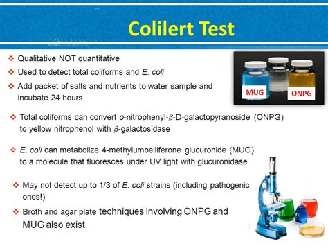 Ppt Lab 6 Enumeration Of Coliforms Fecal Coliforms And 60 Off