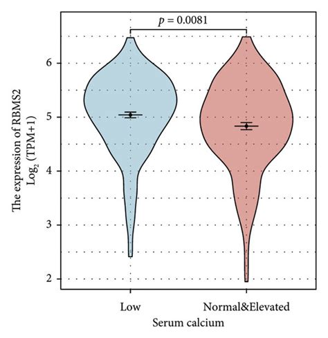 Associations Between Rbms2 And Clinico Pathological Traits Of Ccrcc