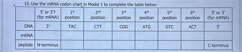 Solved 15 Use The MRNA Codon Chart In Model 1 To Complete Chegg Com